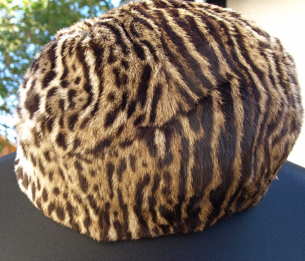 12 Facts About the Beautiful Ocelot Cat | Leszer